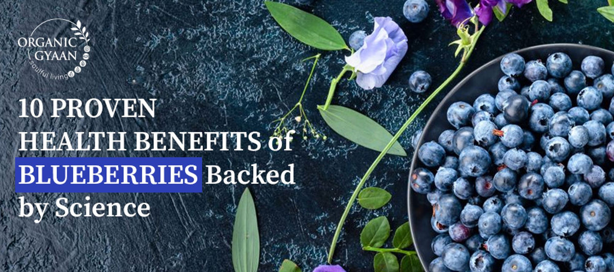 Top 10 Science-Backed Blueberry Health Benefits – Organic Gyaan