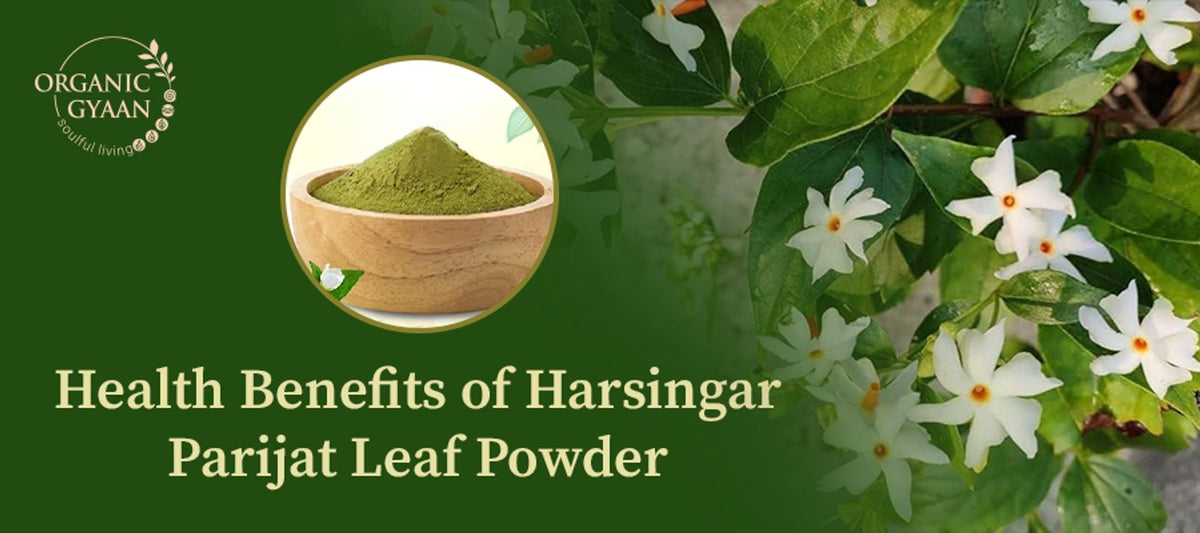Top 10 Benefits of Harsingar Parijat Leaf Powder – Organic Gyaan