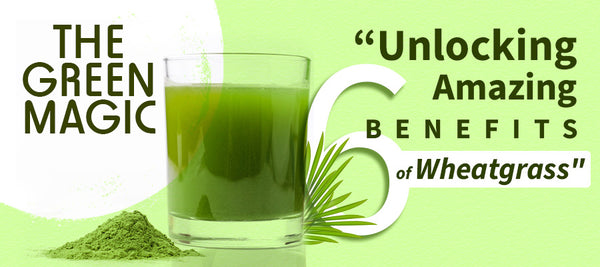 6 Surprising Benefits of Wheatgrass You Need to Know – Organic Gyaan