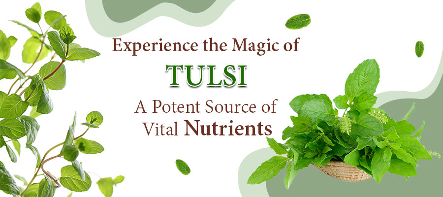 Tulsi Leaves