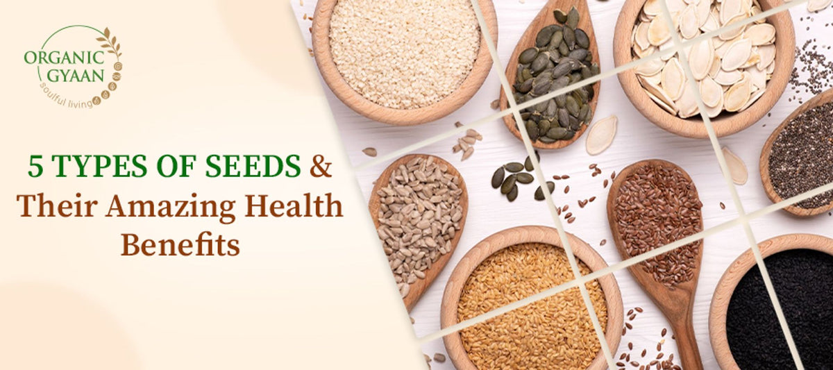 5 Amazing Types of Seeds: Health Benefits Unveiled – Organic Gyaan