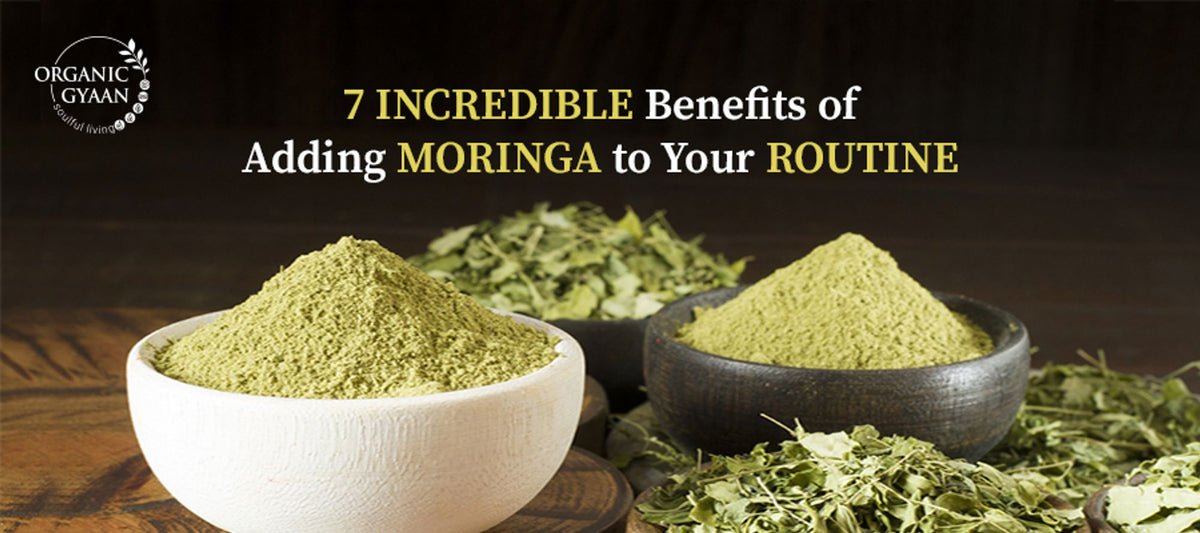 Top 7 Moringa Benefits for Daily Health Boost – Organic Gyaan