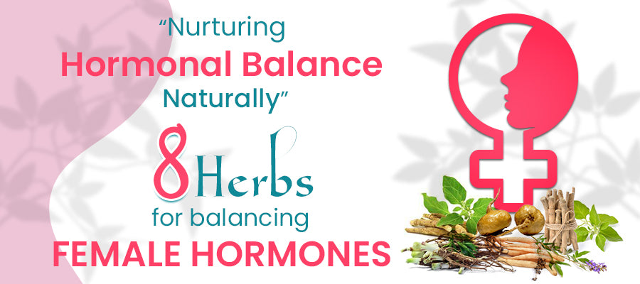 8 Magical Herbs to Balance Hormones Naturally – Organic Gyaan