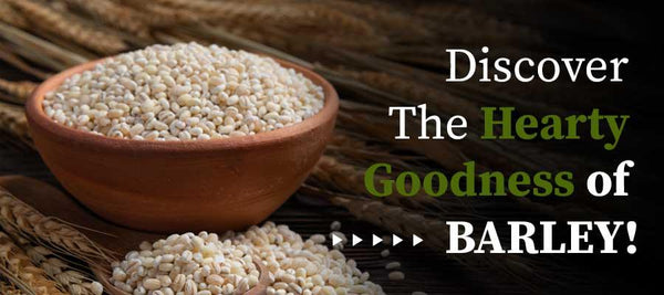 Barley: Nutrition, Benefits, Uses, & More – Organic Gyaan