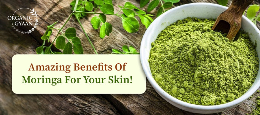Top 7 Amazing Benefits of Moringa Powder for your Skin – Organic Gyaan