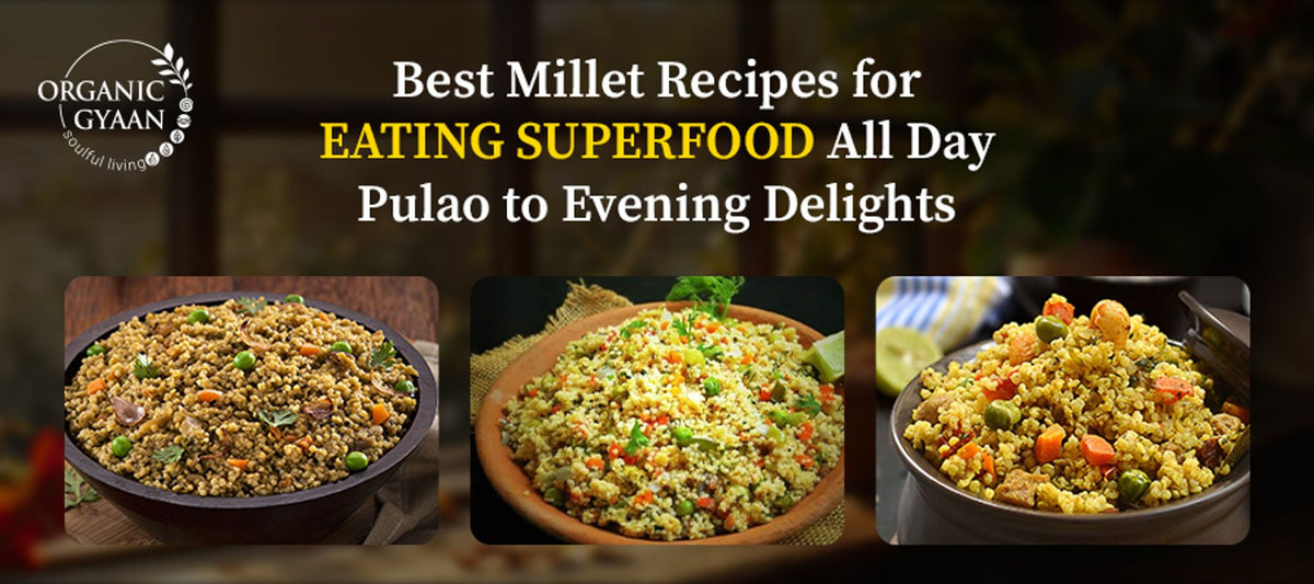 Millet Recipes: Morning Pulao to Evening Delights – Organic Gyaan