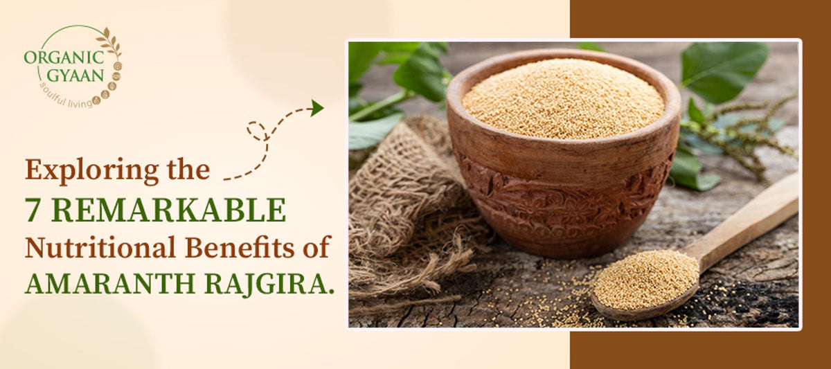 7 Amaranth/Rajgira Benefits: Nutritional Powerhouse – Organic Gyaan