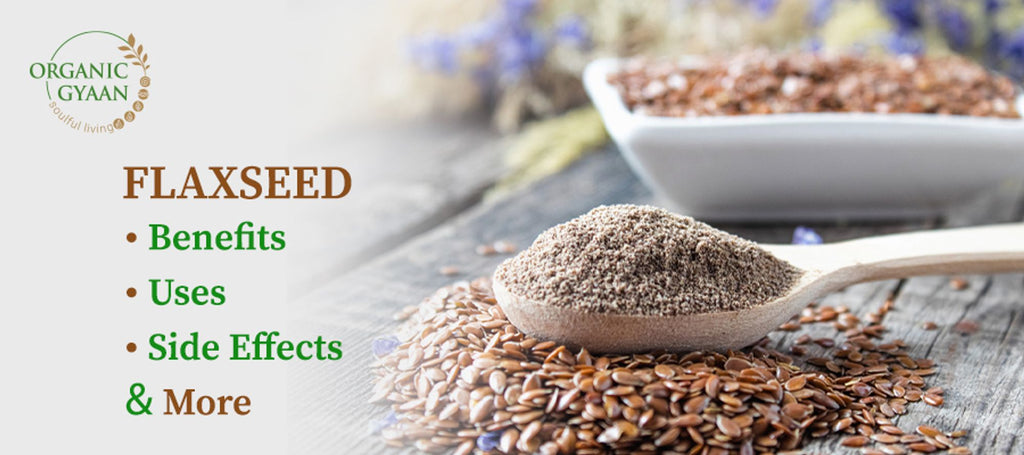 Flaxseed Benefits, Uses, Side Effects, and More – Organic Gyaan