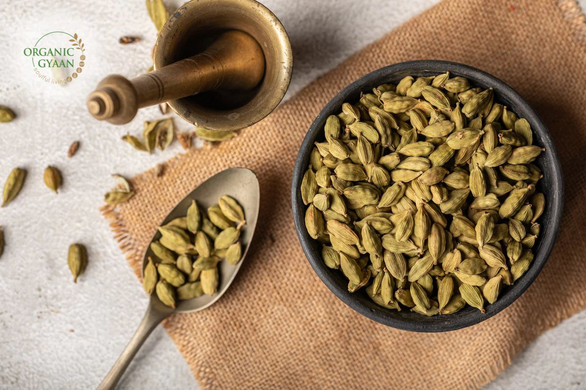 Top 7 Cardamom Benefits: Boost Your Health Naturally – Organic Gyaan