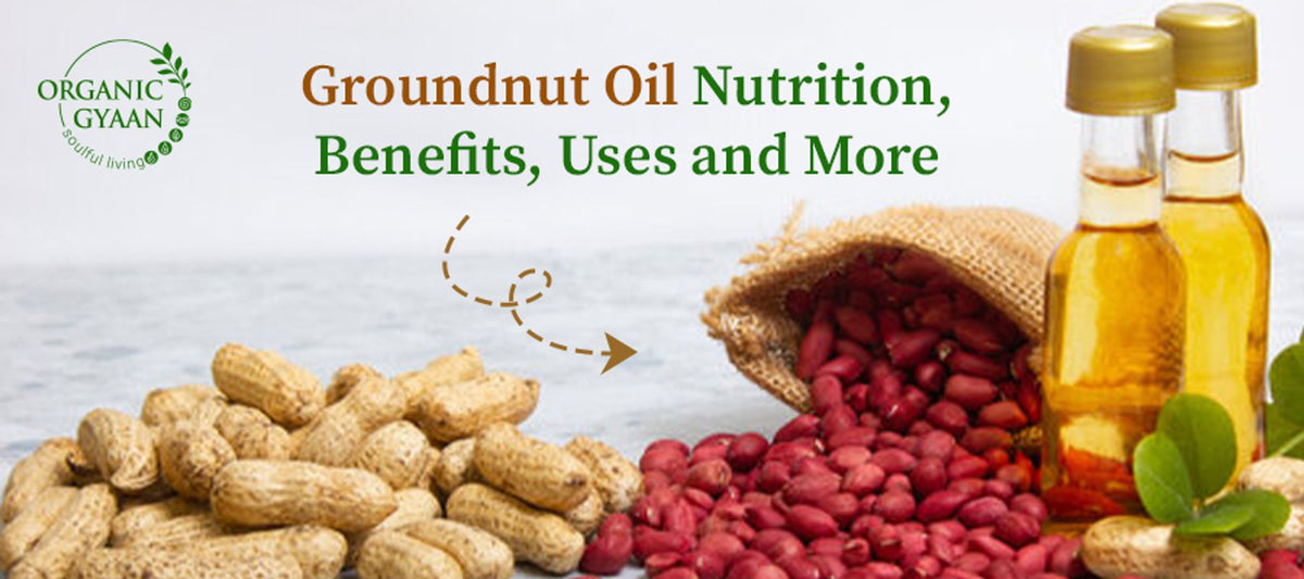 Groundnut Oil Benefits: Nutritions, Uses and More – Organic Gyaan