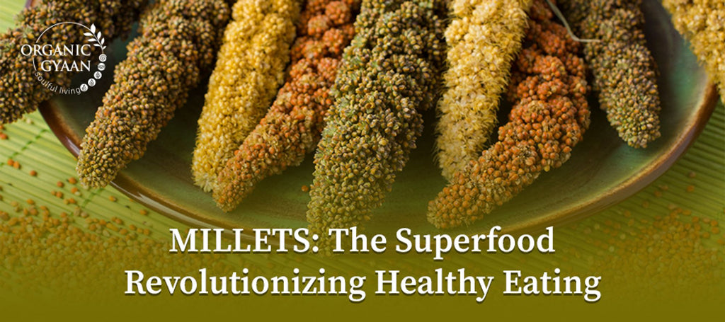 Millets: Superfood Revolution in Healthy Eating – Organic Gyaan
