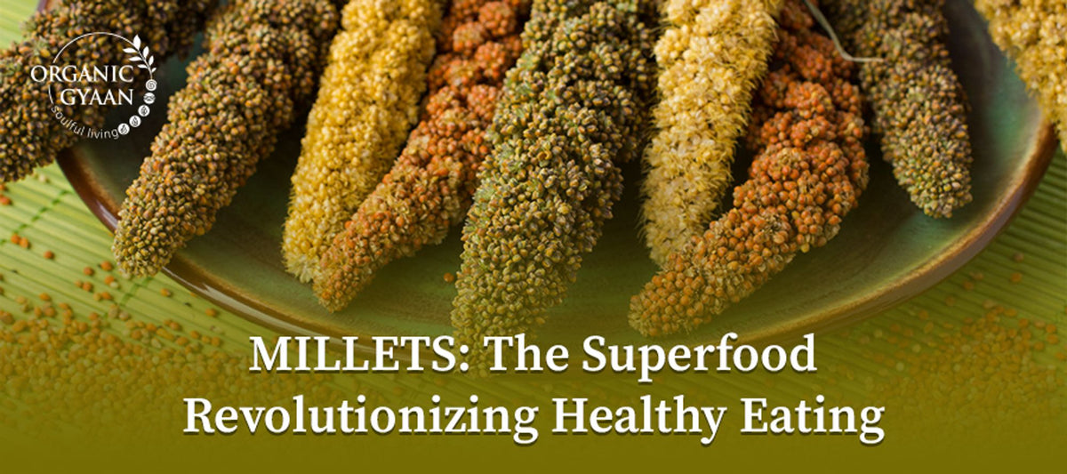 Millets: Superfood Revolution in Healthy Eating – Organic Gyaan