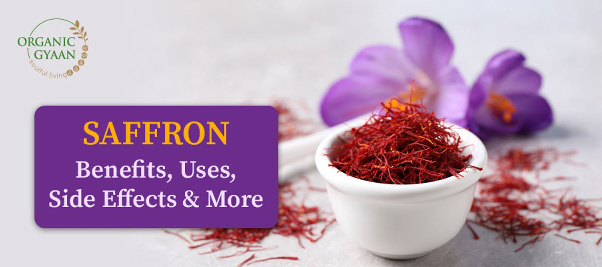Saffron - Benefits, Uses, Side Effects, and More – Organic Gyaan