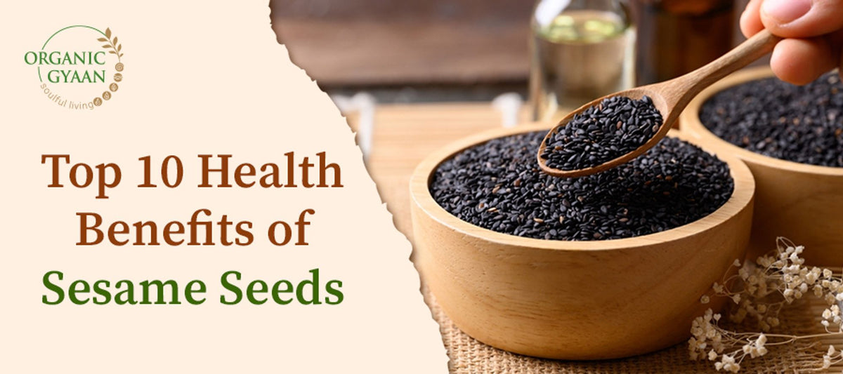 10 Essential Sesame Seeds Benefits for Your Health – Organic Gyaan
