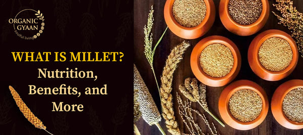 What Are Millets? Types, Nutrition and Benefits – Organic Gyaan