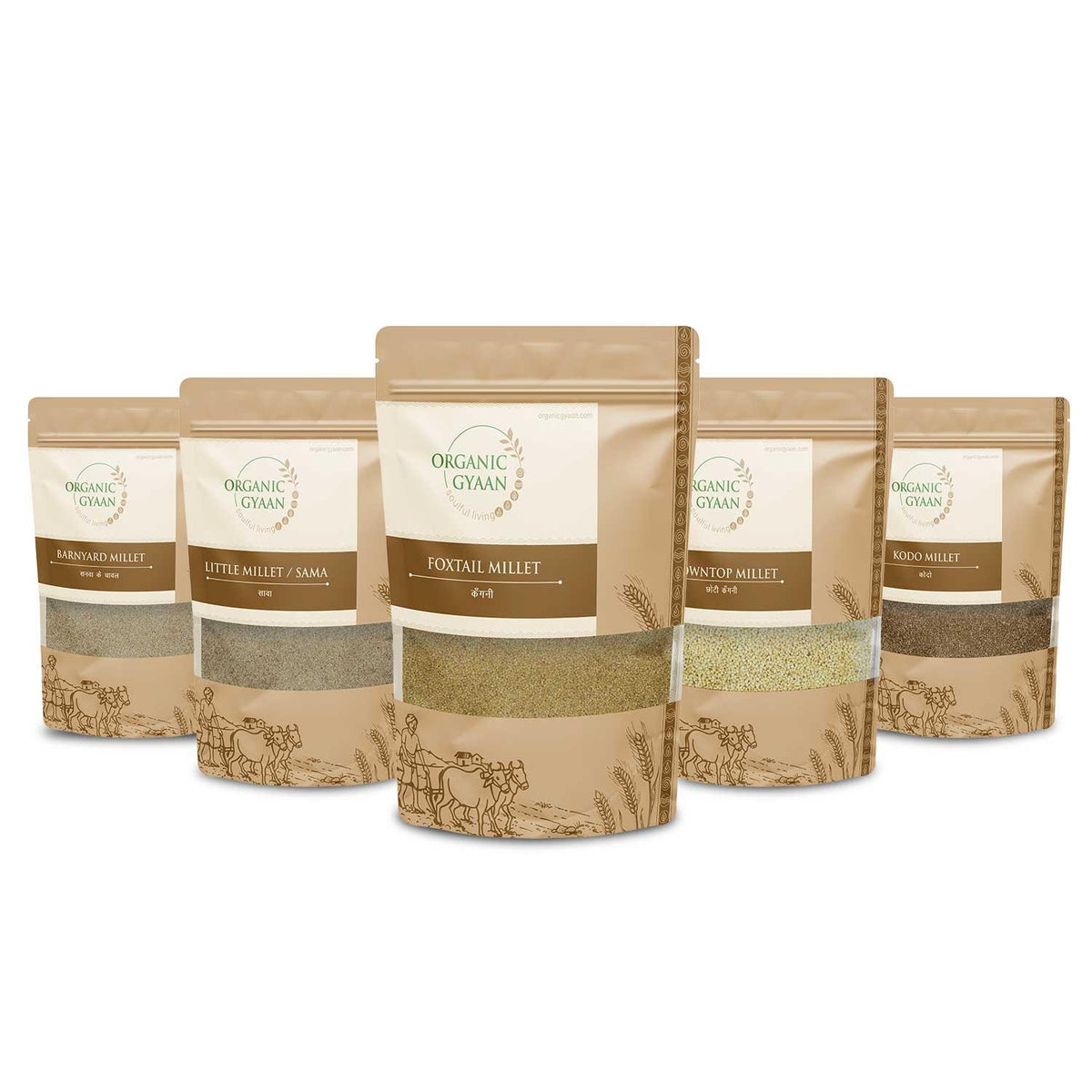 Buy Nutritious Millet Grains for a Healthy Lifestyle – Organic Gyaan