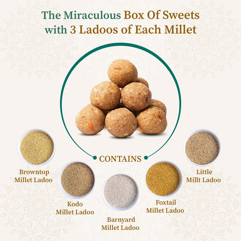 Siridhanya Millet Laddu | Healthy Delight – Organic Gyaan