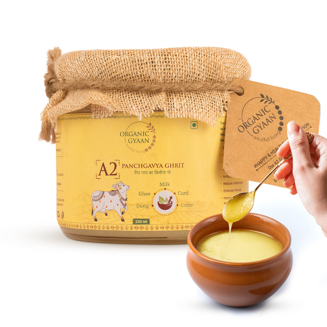 Buy Panchgavya Ghrit: Holistic Wellness in jar – Organic Gyaan