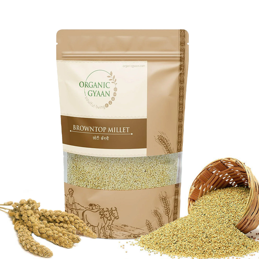 Buy Browntop Millet – High Fiber, Low Cal, Gluten-Free – Organic Gyaan
