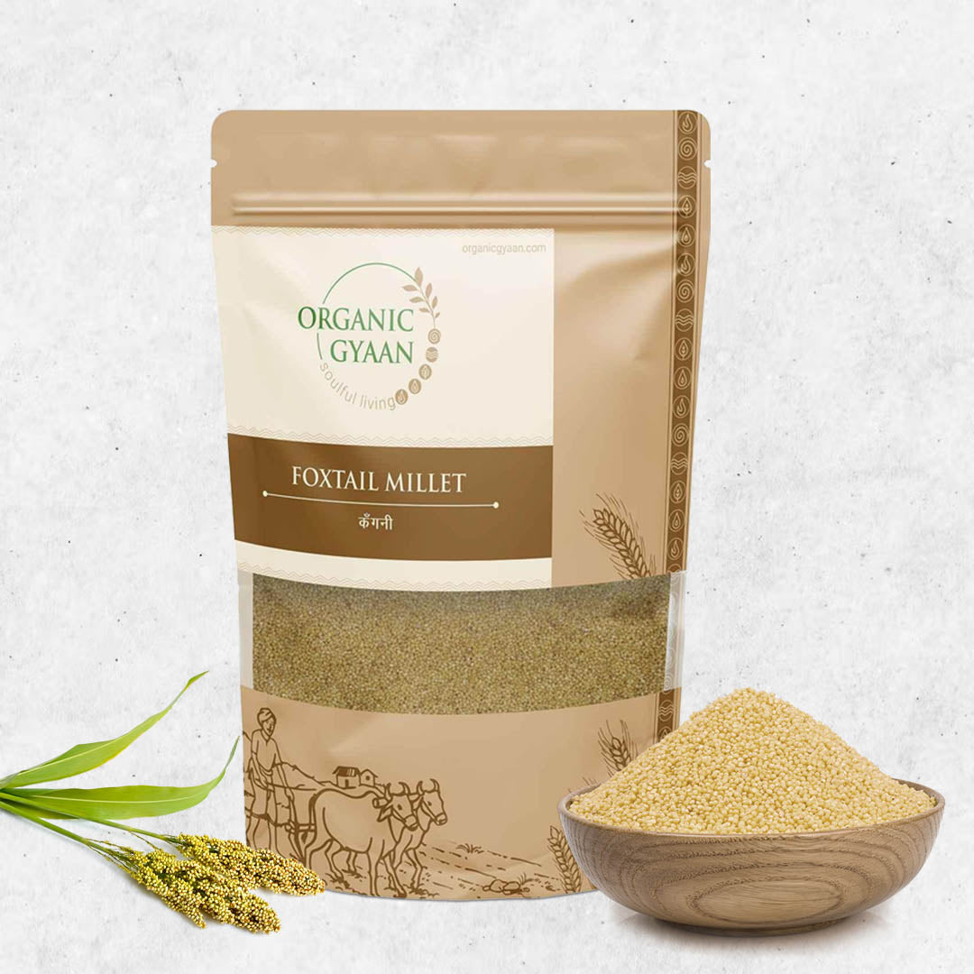 Buy Foxtail/Kangni Millet Grains Online | Organic Gyaan