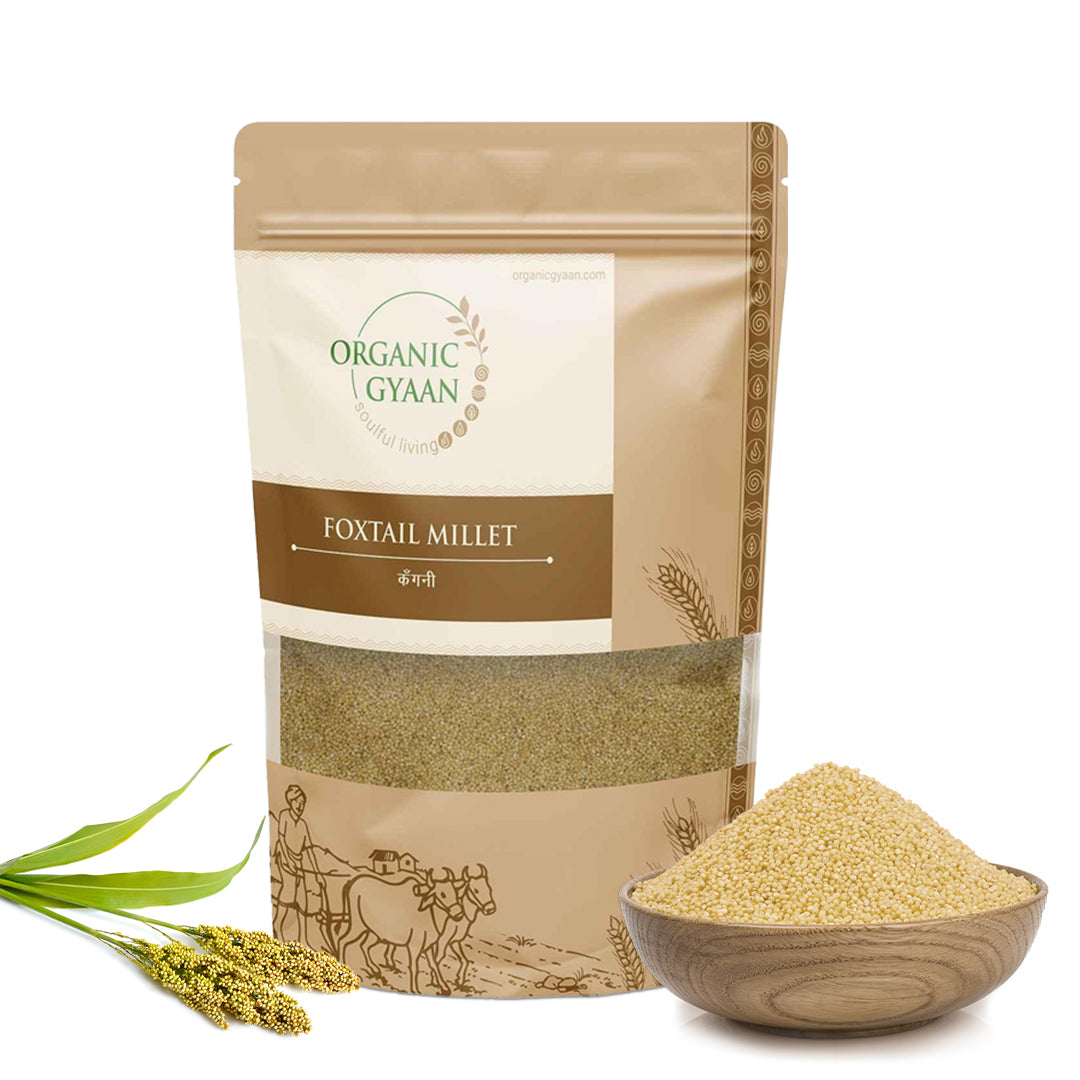 Buy Organic Foxtail (Kangni) Millet Online in India – Organic Gyaan