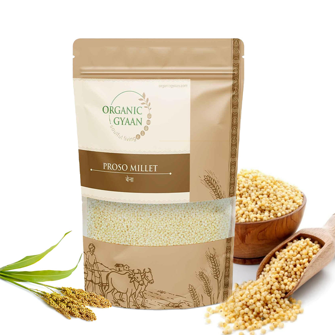 Shop Proso Millet (Cheena)- Healthy & Gluten-Free – Organic Gyaan