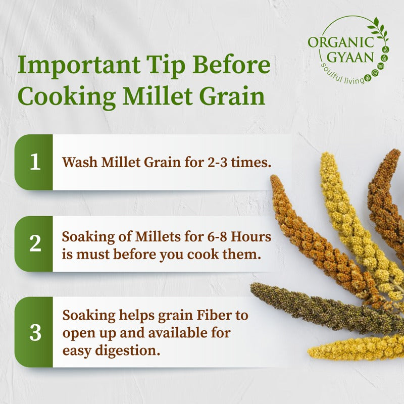 Buy Nutritious Millet Grains for a Healthy Lifestyle – Organic Gyaan