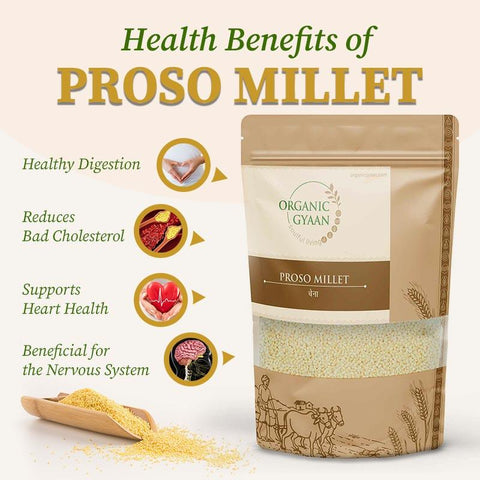 Proso Millet Online – Organic, High Fibre & Gluten-Free – Organic Gyaan