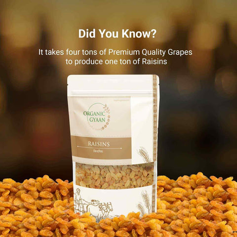 Buy Raisins Online | Premium Golden Raisins at Best Price – Organic Gyaan