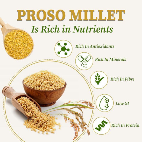 Proso Millet Online – Organic, High Fibre & Gluten-Free – Organic Gyaan