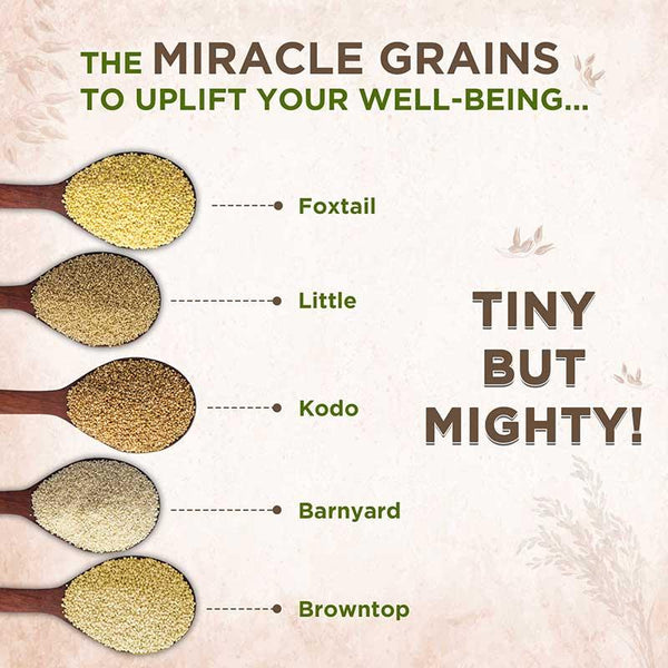 Barley: Nutrition, Benefits, Uses & Facts Guide – Organic Gyaan
